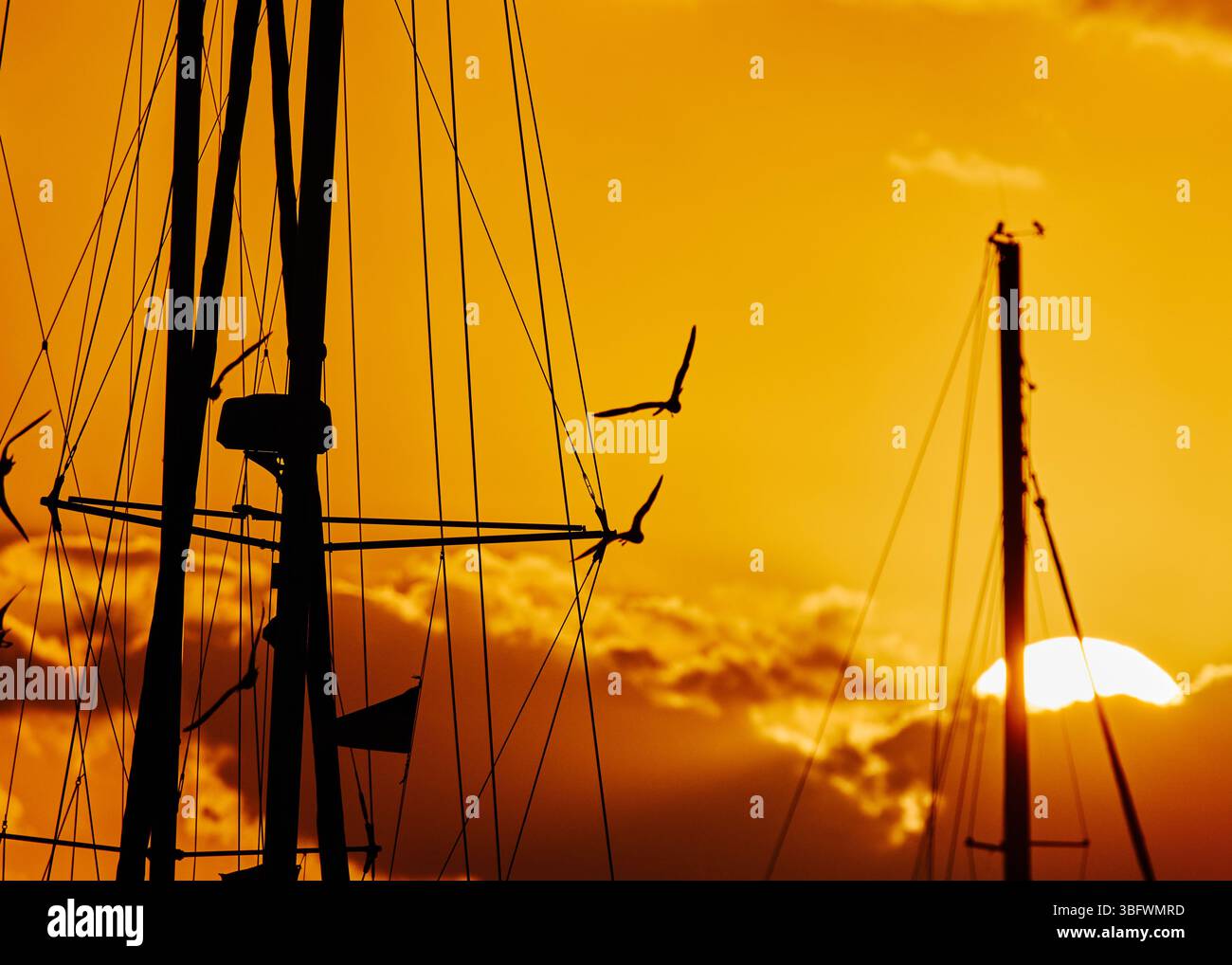 The Sun setting in a beautiful orange sky behind clouds with the masts ...