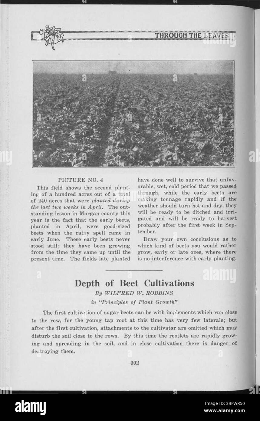 304 pages Black and White Stock Photos & Images - Alamy