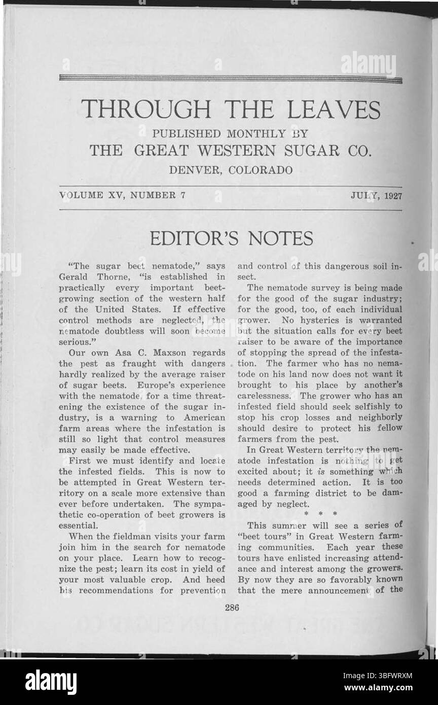 'Through the Leaves' (1927) is a work that includes a detailed subject ...