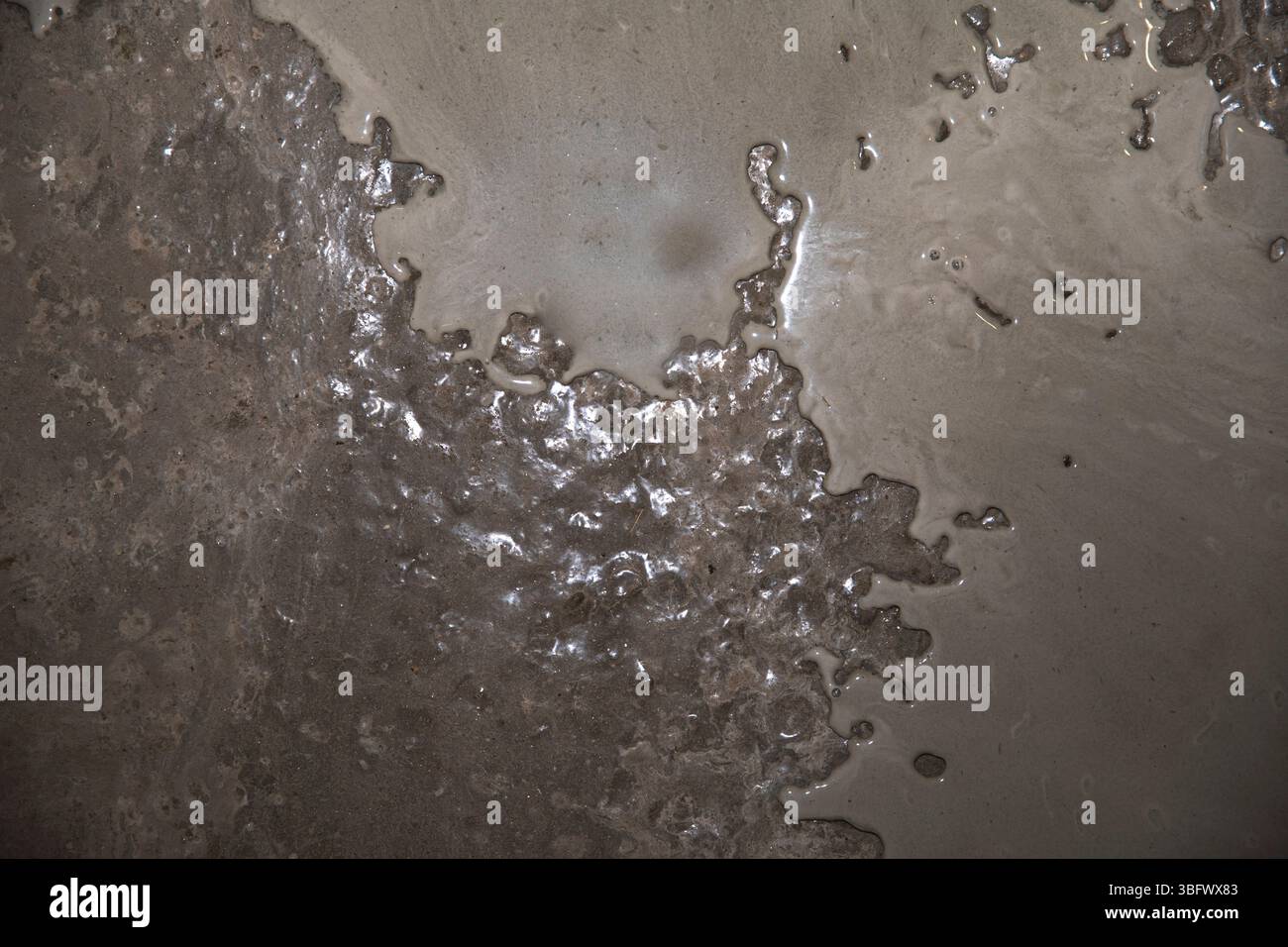 Wet concrete surface with rough texture and glossy patches ...