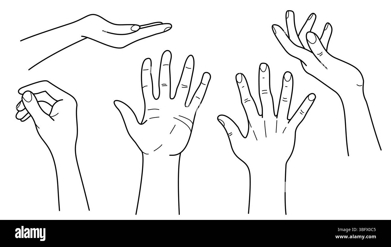Hand gestures and palms of women, line illustration set isolated on a ...