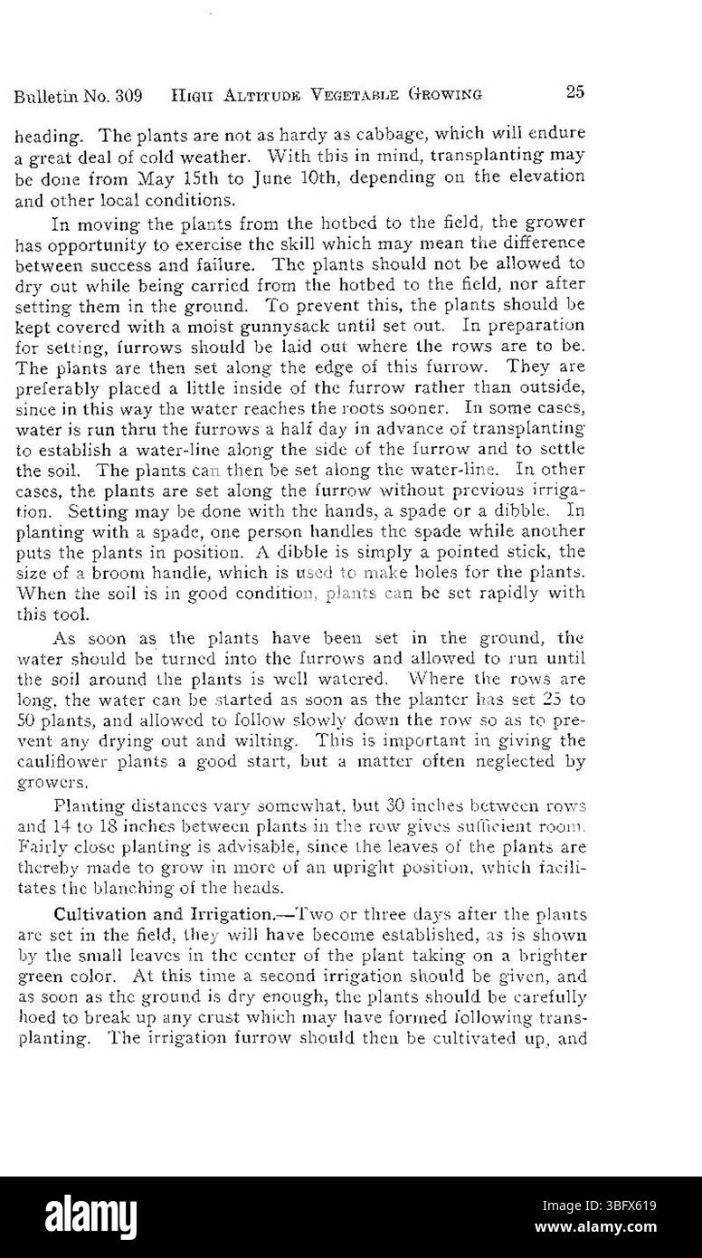 Growing strategies Black and White Stock Photos & Images - Alamy