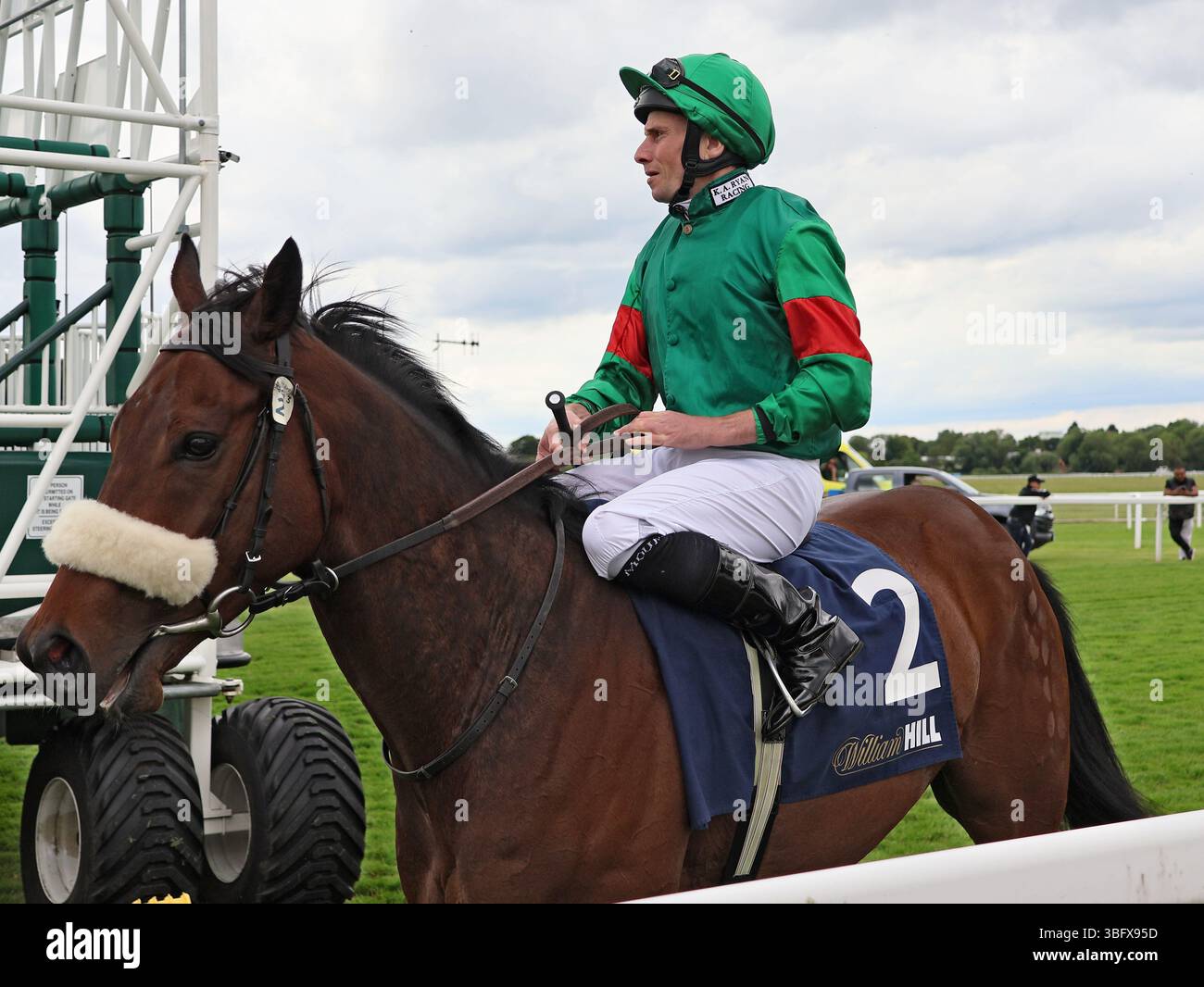 Venture capital horse hi-res stock photography and images - Alamy