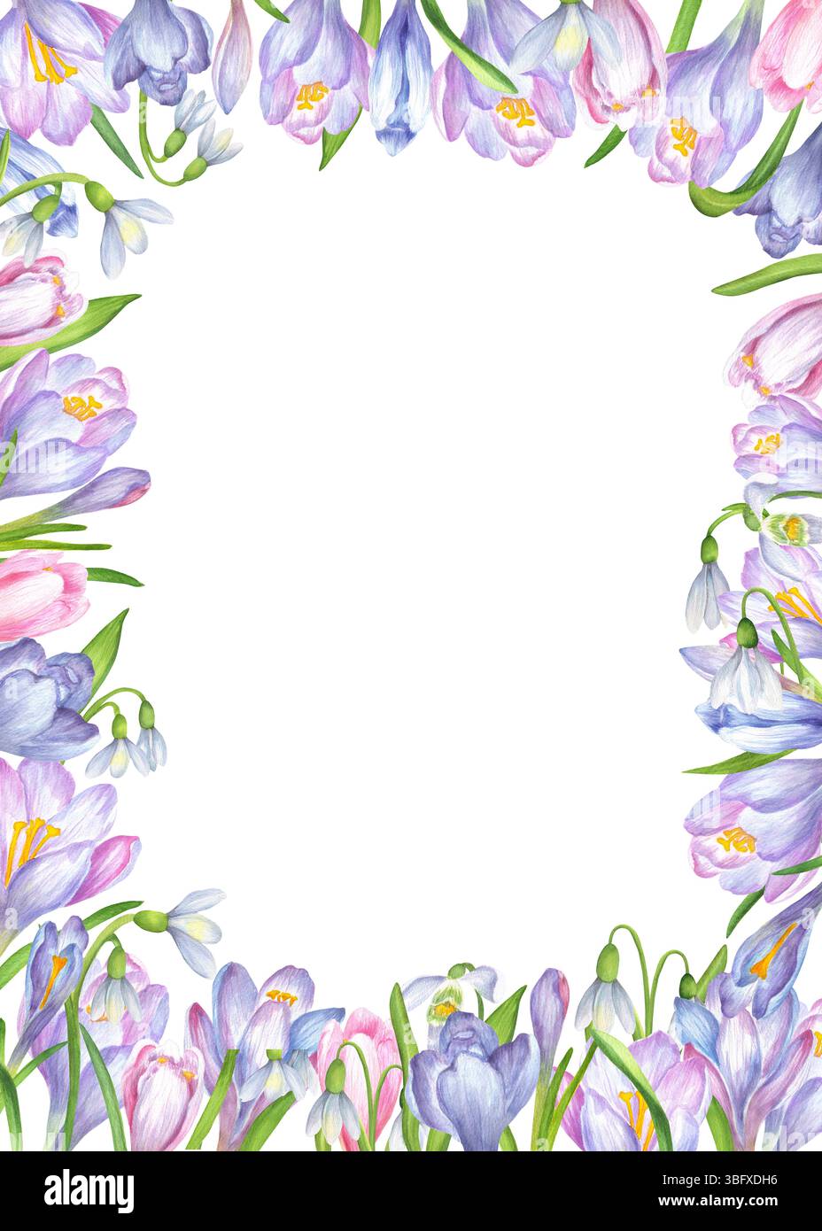 Rectangular floral frame with crocuses and snowdrops flowers ...