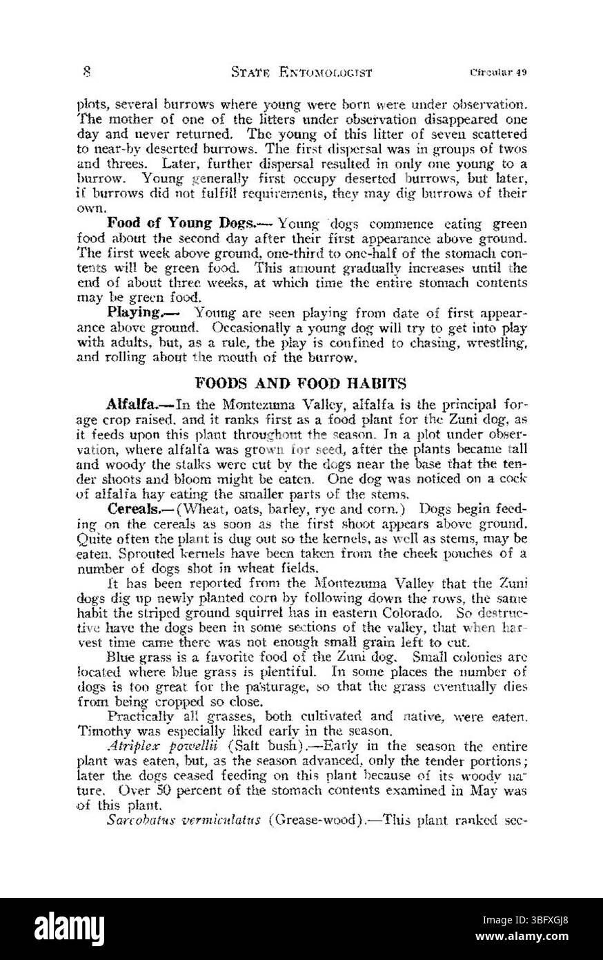 Geography record Cut Out Stock Images & Pictures - Alamy