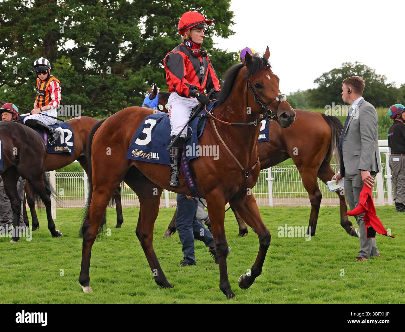 Horse racing york 31st may 2025 hollie hi-res stock photography and ...