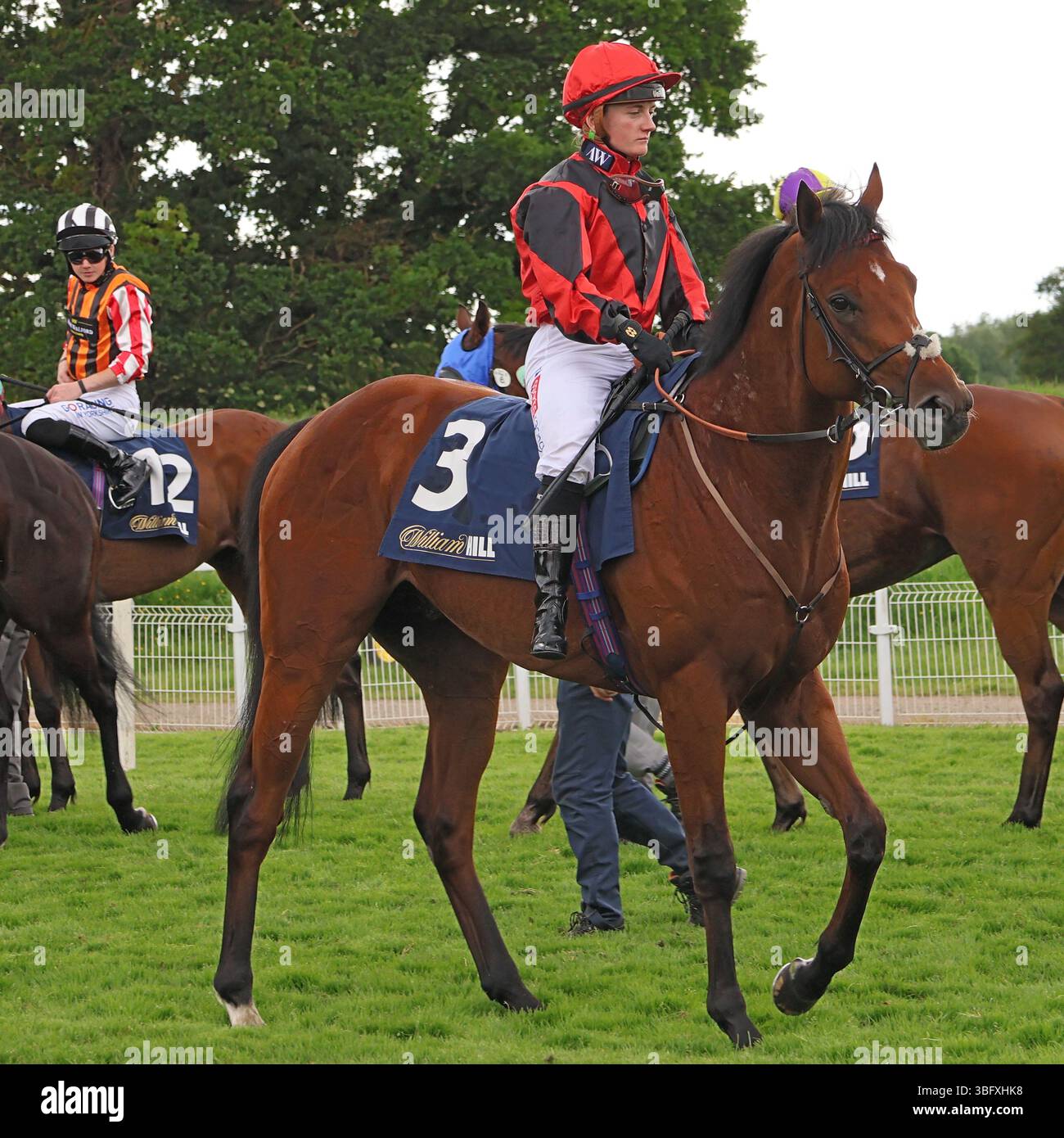 Hollie Doyle rides Zayer at the 1440 race at York 31st May 2025 ...