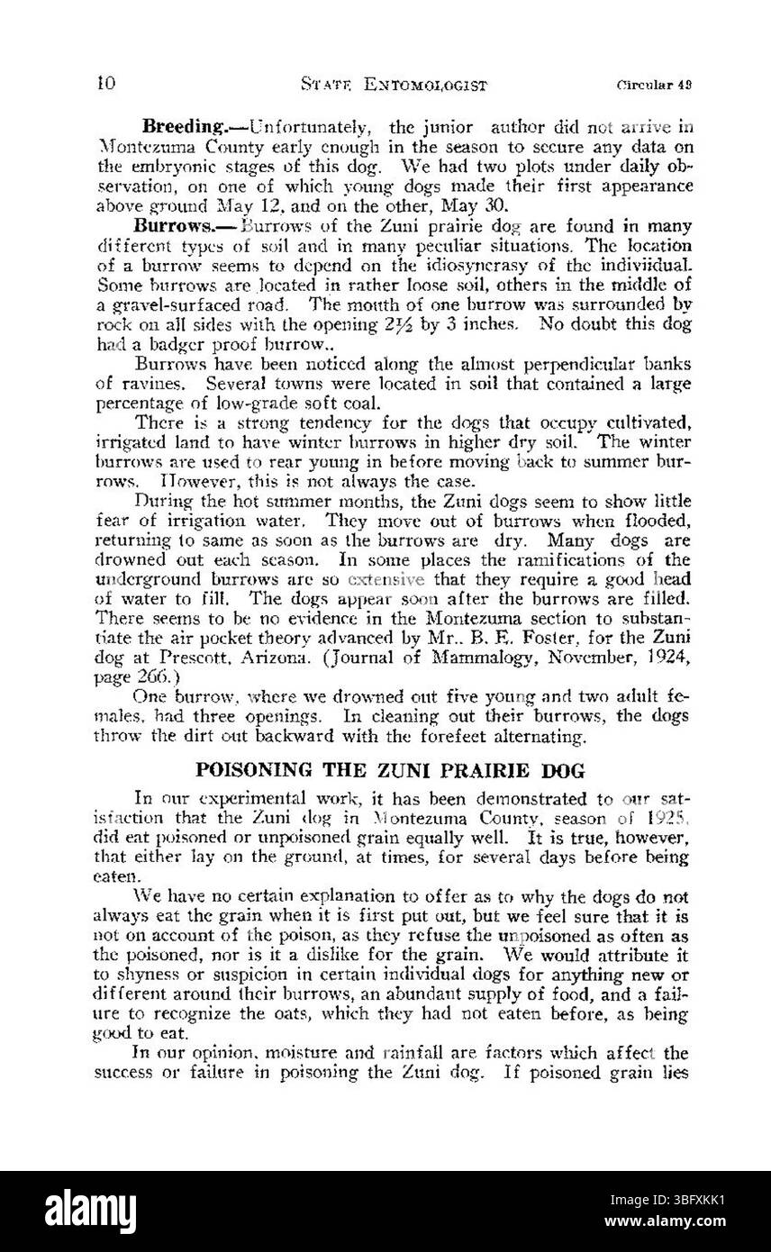 1926 documents Cut Out Stock Images & Pictures - Alamy