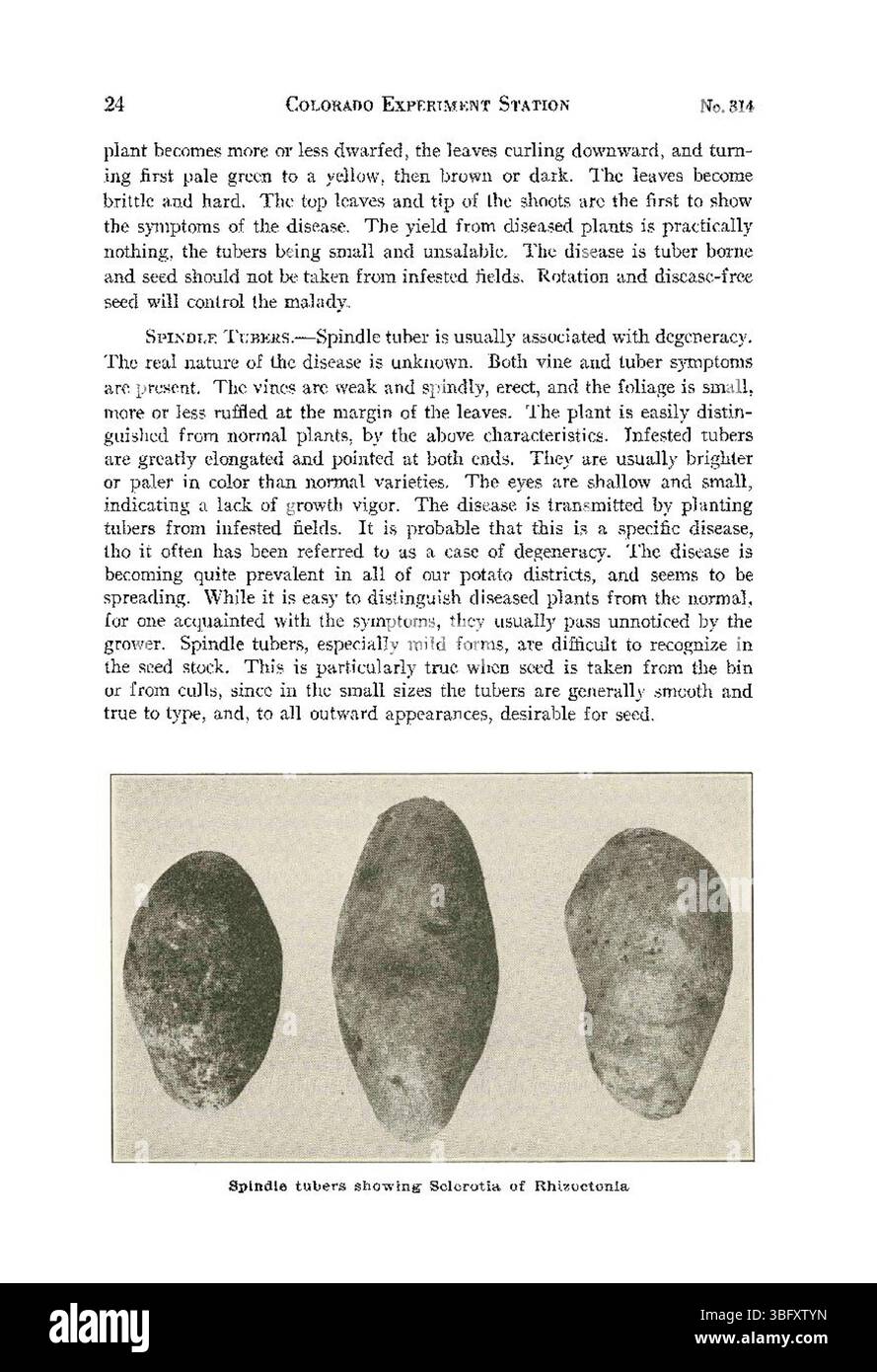 This photograph from January 1927 illustrates the agricultural ...