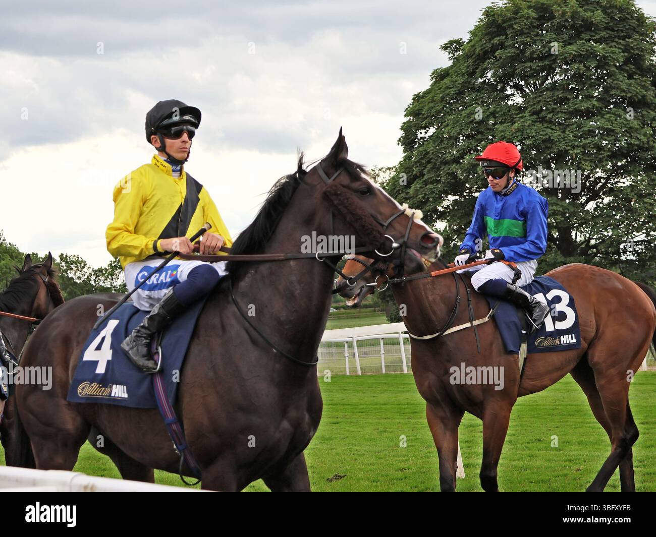 David Probert riding Miss Attitude at the 14:40 York Racecourse 31st ...