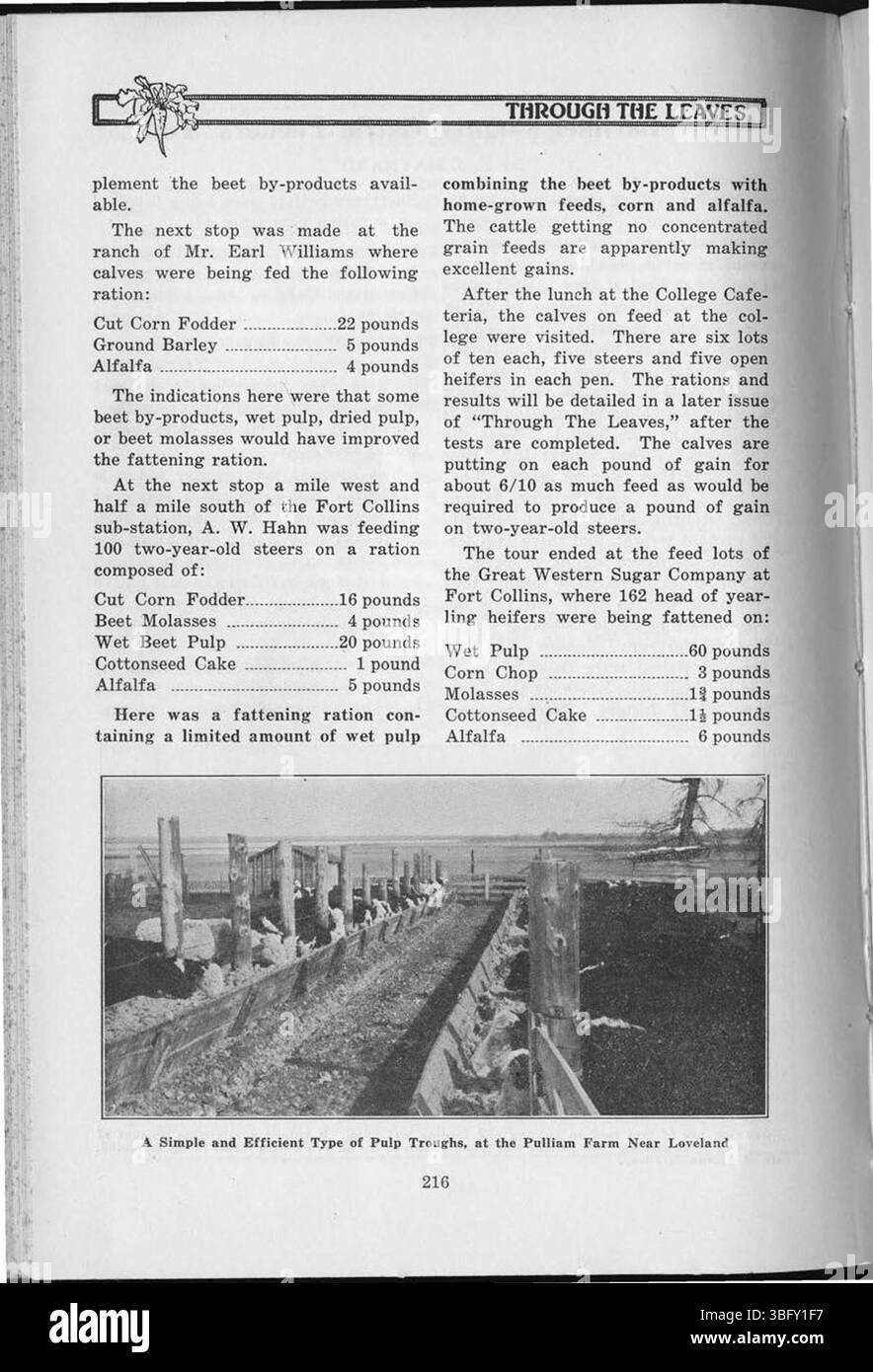 This page from *Through the Leaves* (1926) shows part of the subject ...