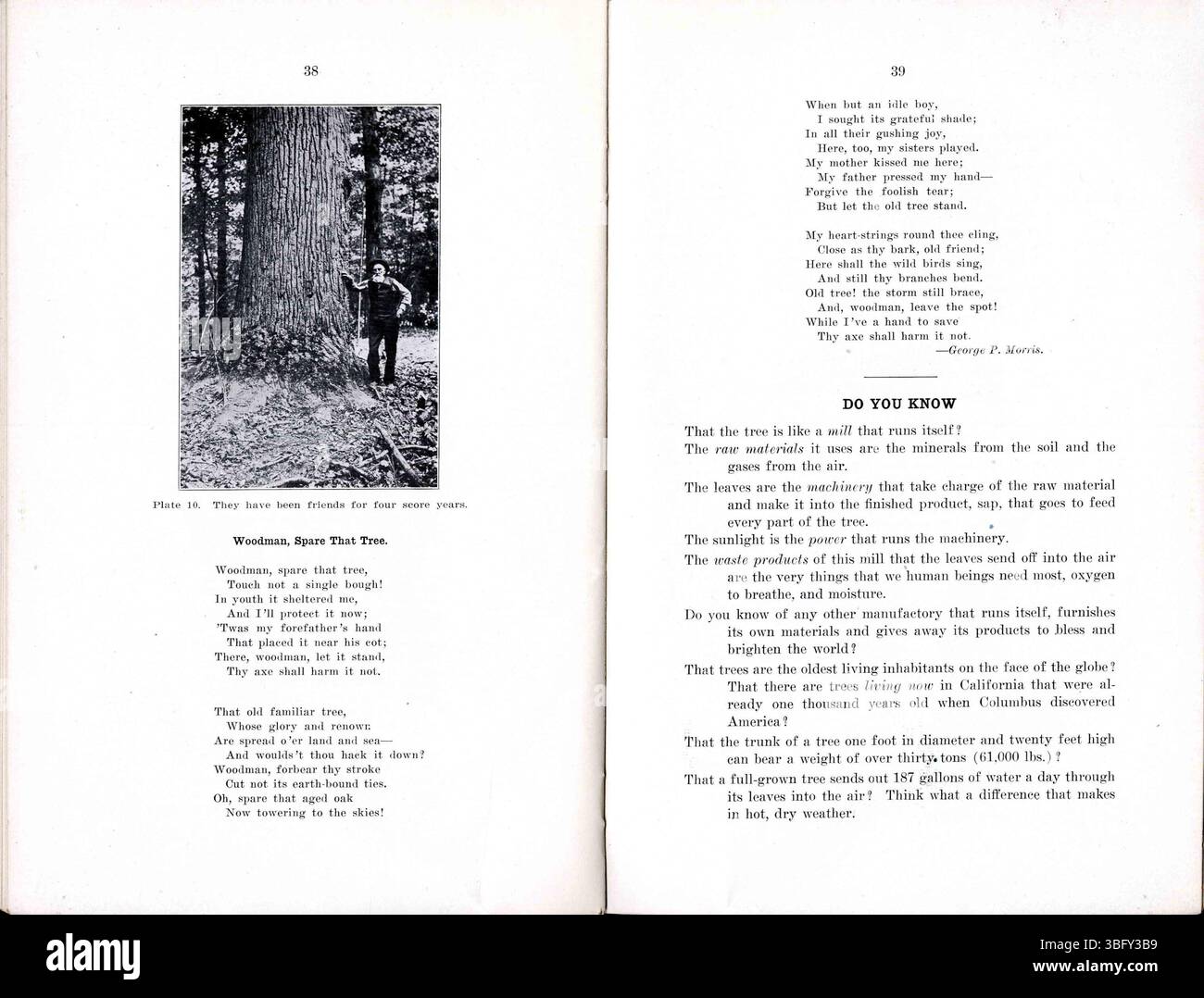 This 1916 program for Arbor and Bird Day highlights the history, tree ...