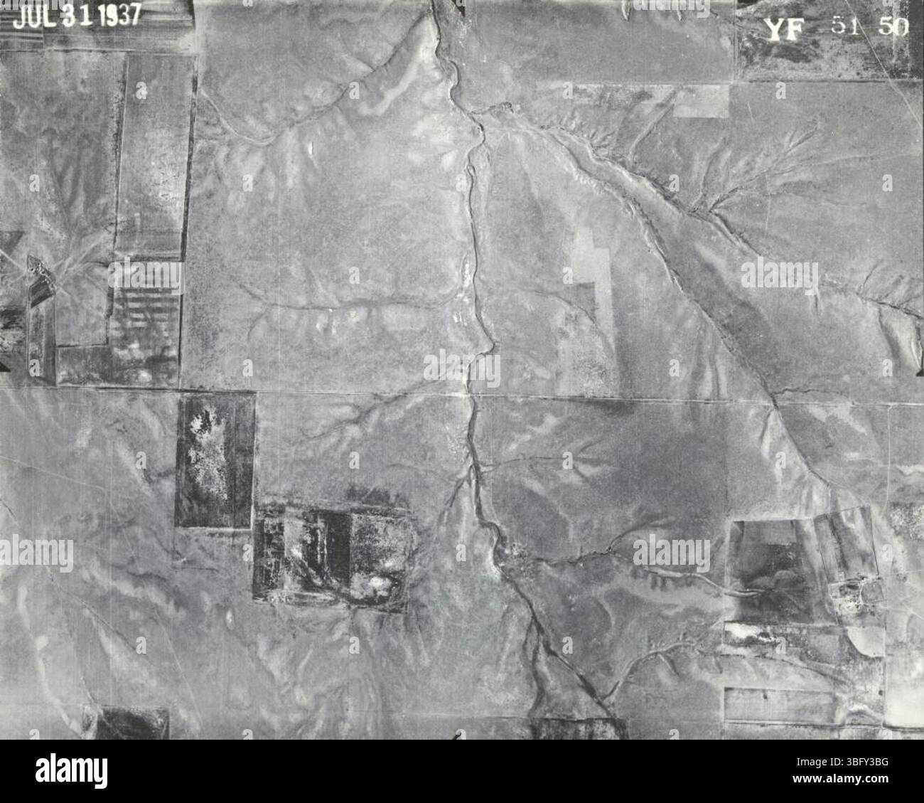 The YF 51-50 file is a map at a scale of 1:20,000. No author ...