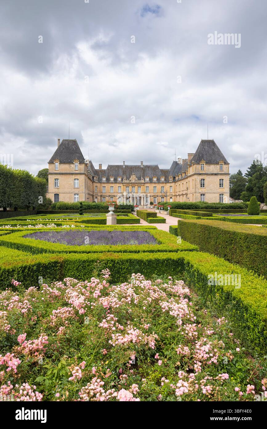 Rose and boxwood hi-res stock photography and images - Alamy
