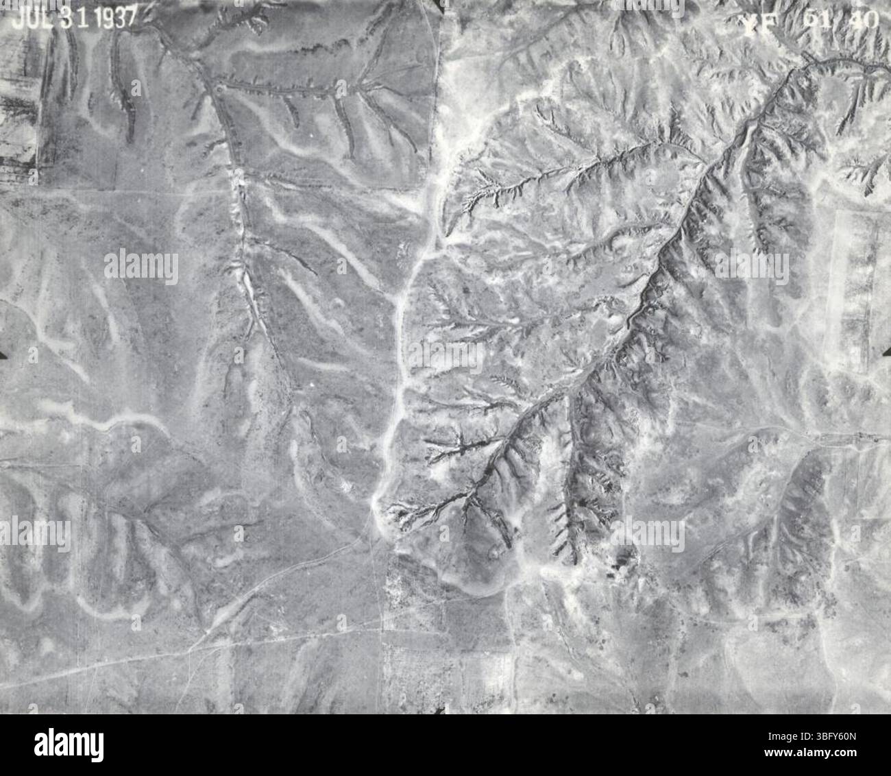 An archival map marked YF 51-40 at a 1:20,000 scale, part of the DPLA’s ...