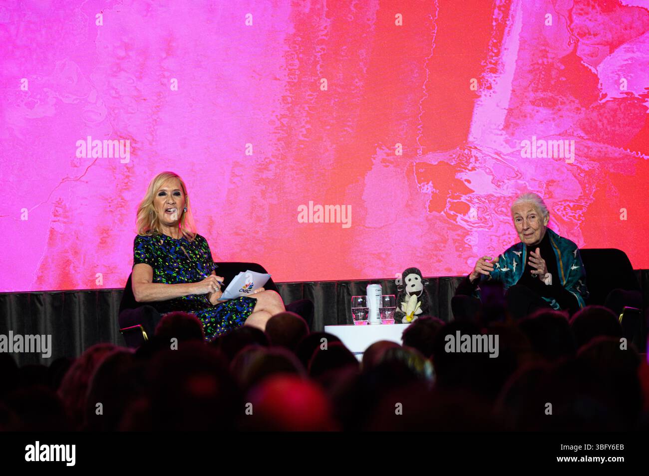 London, England, June 03, 2025. Tania Bryer and Jane Goodall talk at ...