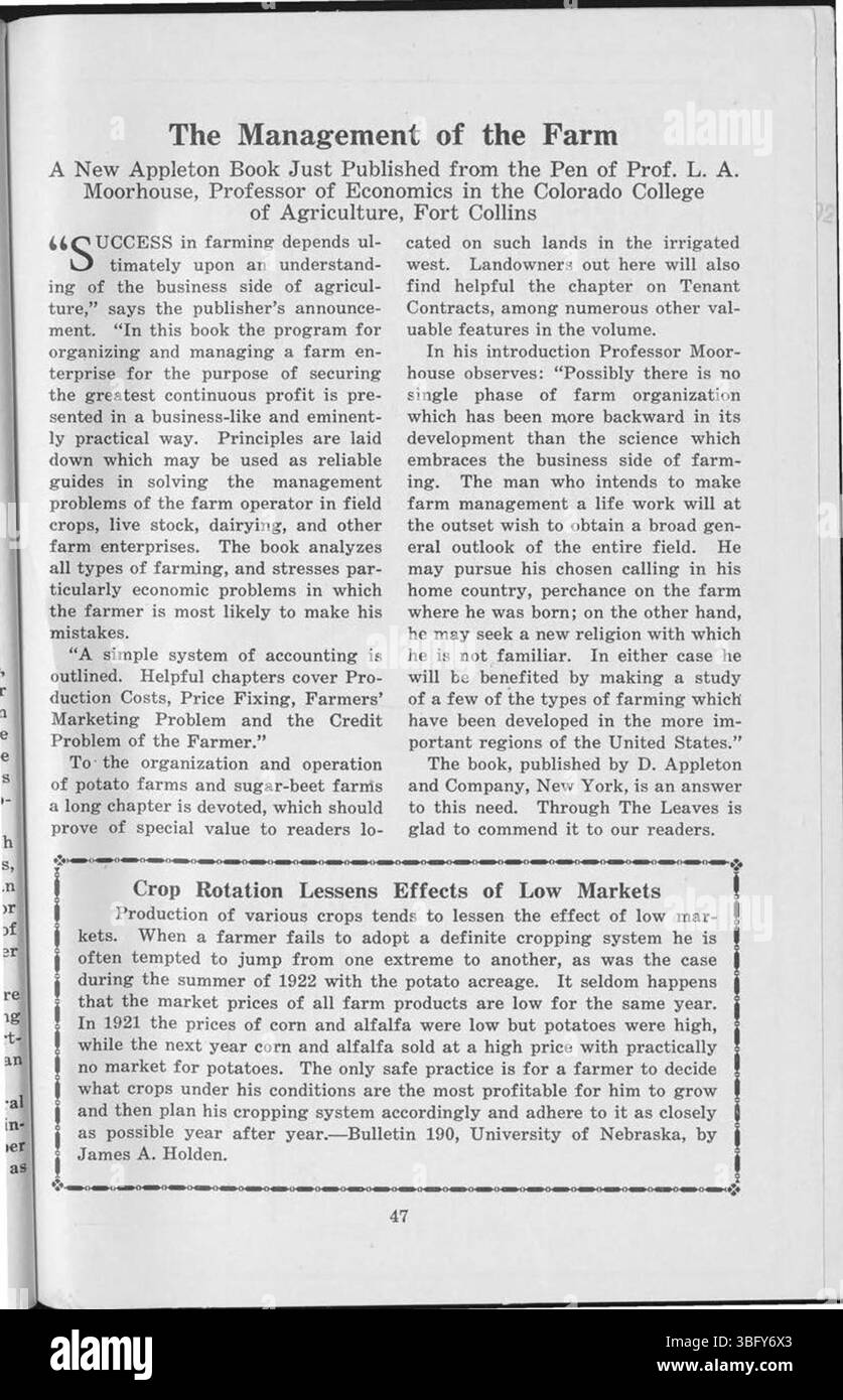 Researching at home Black and White Stock Photos & Images - Alamy