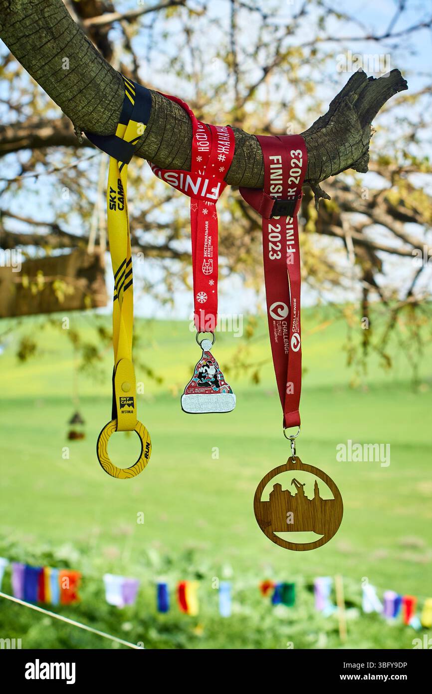 Sports medals on ribbons hang from a wishing tree branch in a ...