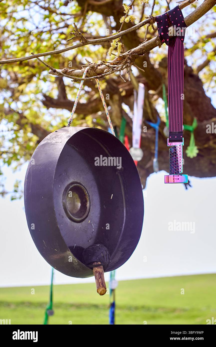 A metal gong with a wooden mallet hangs from a tree branch decorated ...