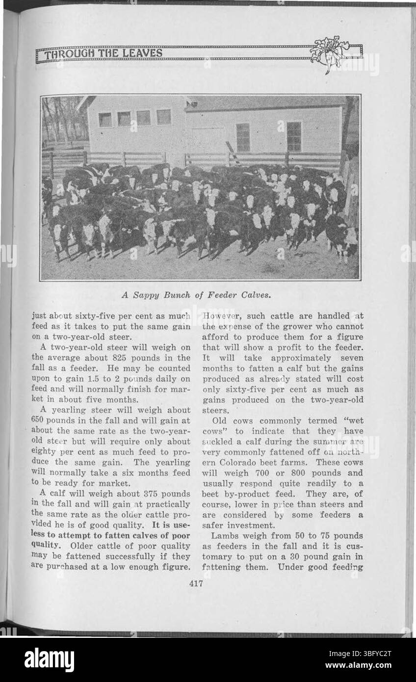 Emphasizing writing Black and White Stock Photos & Images - Alamy