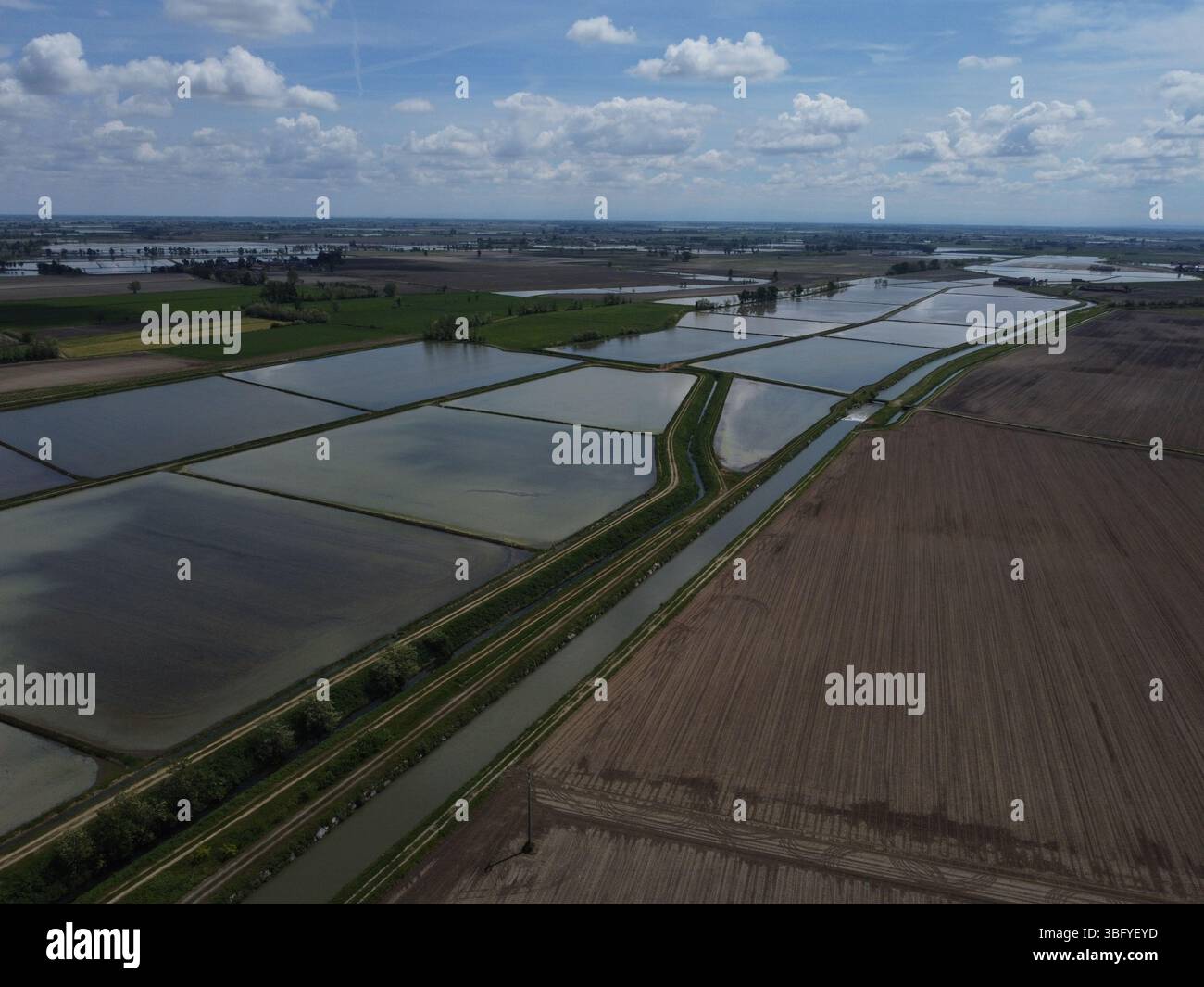 Drone view of Novara’s countryside with flooded rice fields reflecting ...