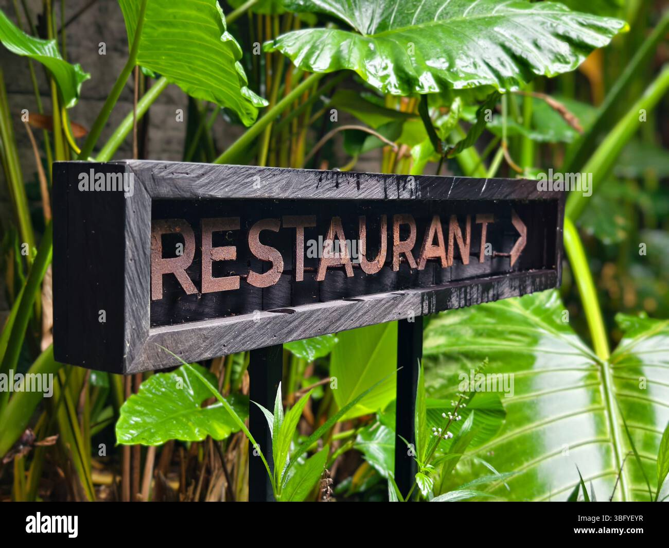 Rustic Wooden Restaurant Sign in a Tropical Garden Stock Photo - Alamy