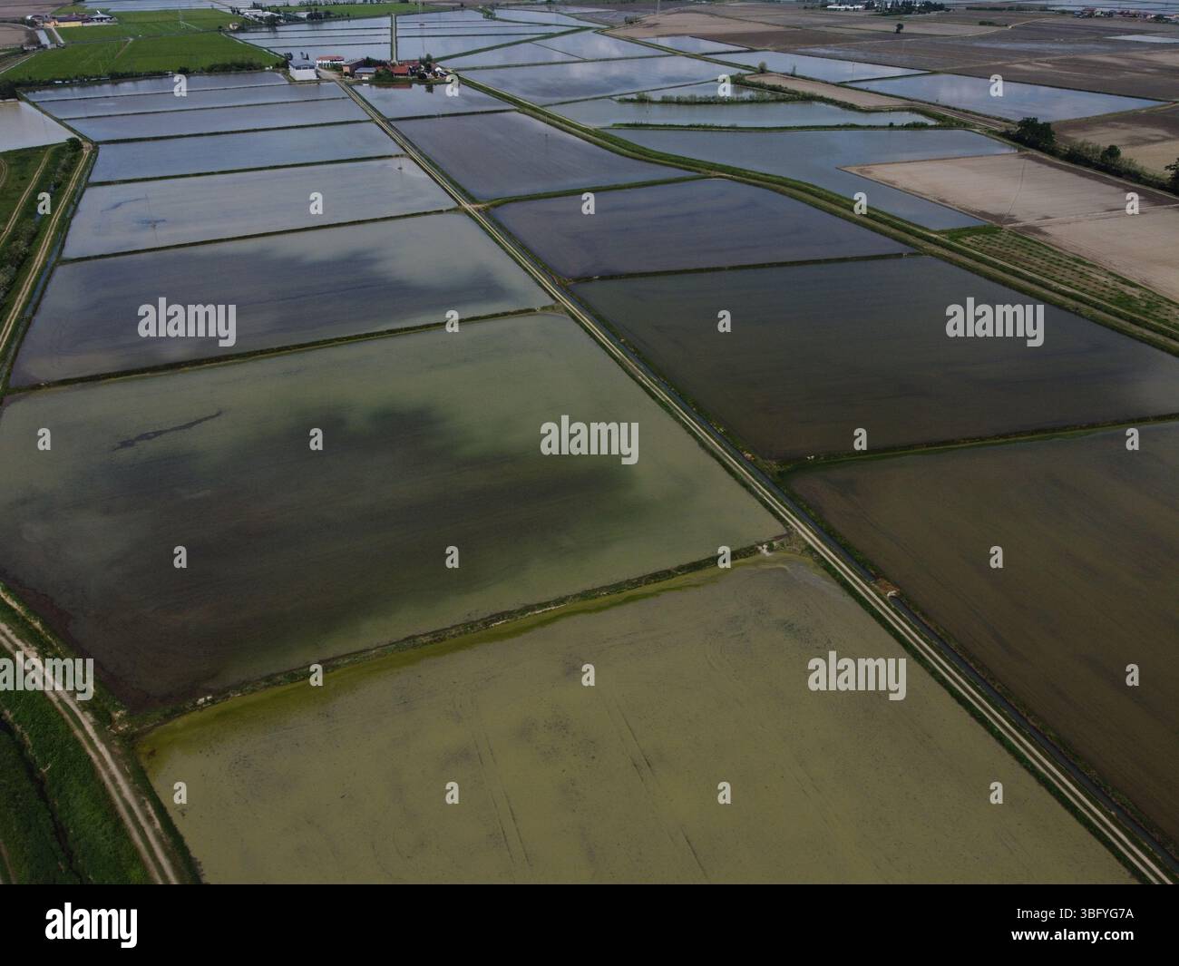 Drone view of Novara’s countryside with flooded rice fields reflecting ...
