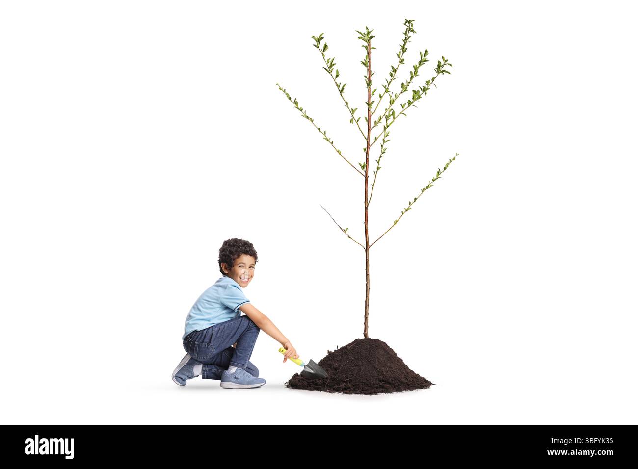 Asian boy planting a tree isolated on white background Stock Photo - Alamy