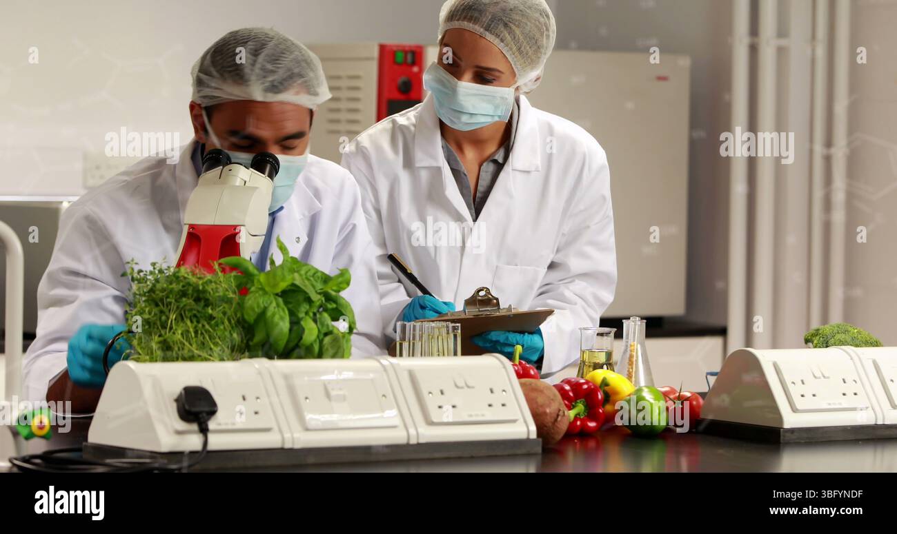 Image of chemical formulas over diverse female and male lab workers in ...