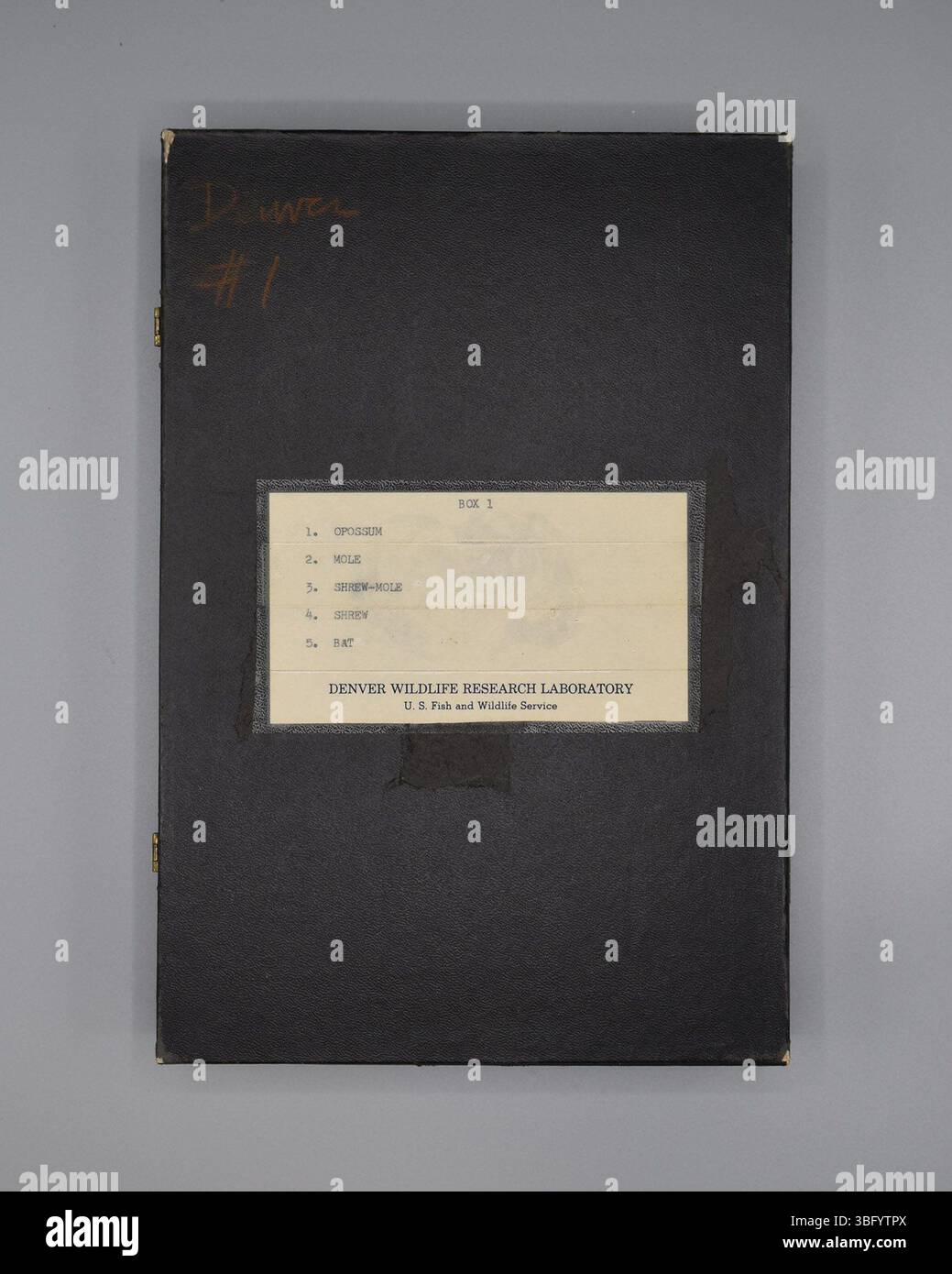 A box containing glass slides with animal hair samples collected from ...