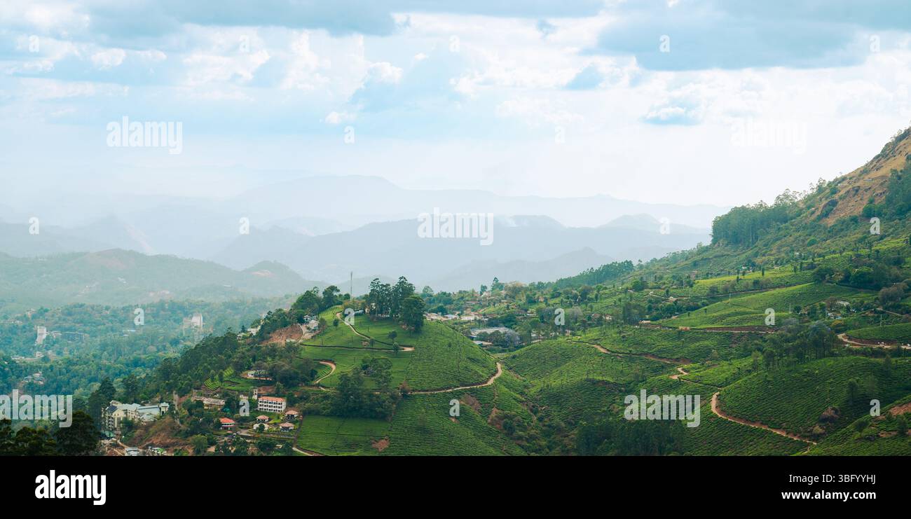 Munnar City With Tea Plantation, South India, Landscape With Fields In ...