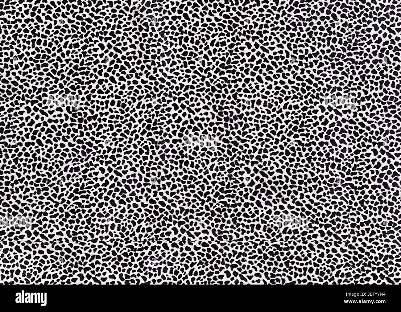 Dalmatian dog skin pattern showing black spots on white fur Stock Photo ...