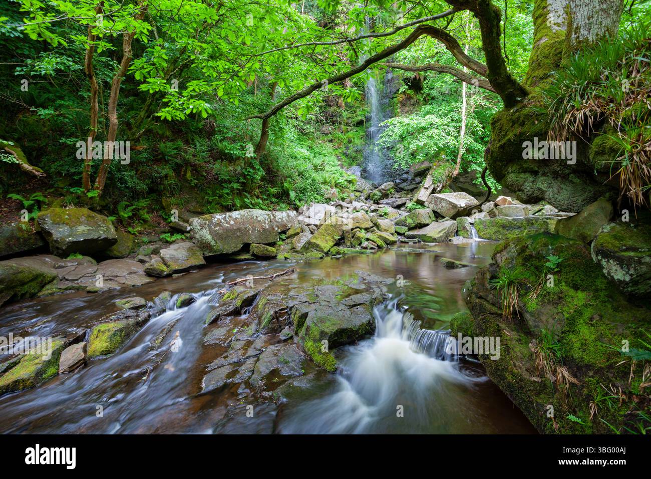 Mallyan Spout waterfall and West Beck stream in an North Yorkshire ...