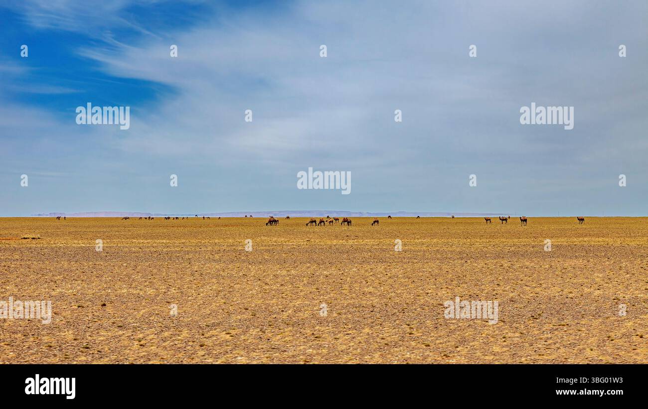The landscape of the Gobi Desert in Mongolia Stock Photo - Alamy