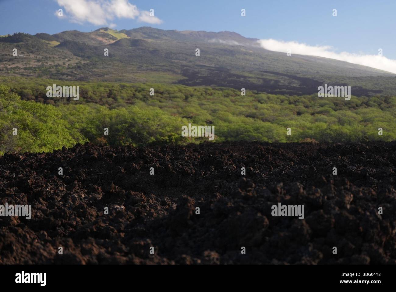 Hawaiian lava field hi-res stock photography and images - Alamy