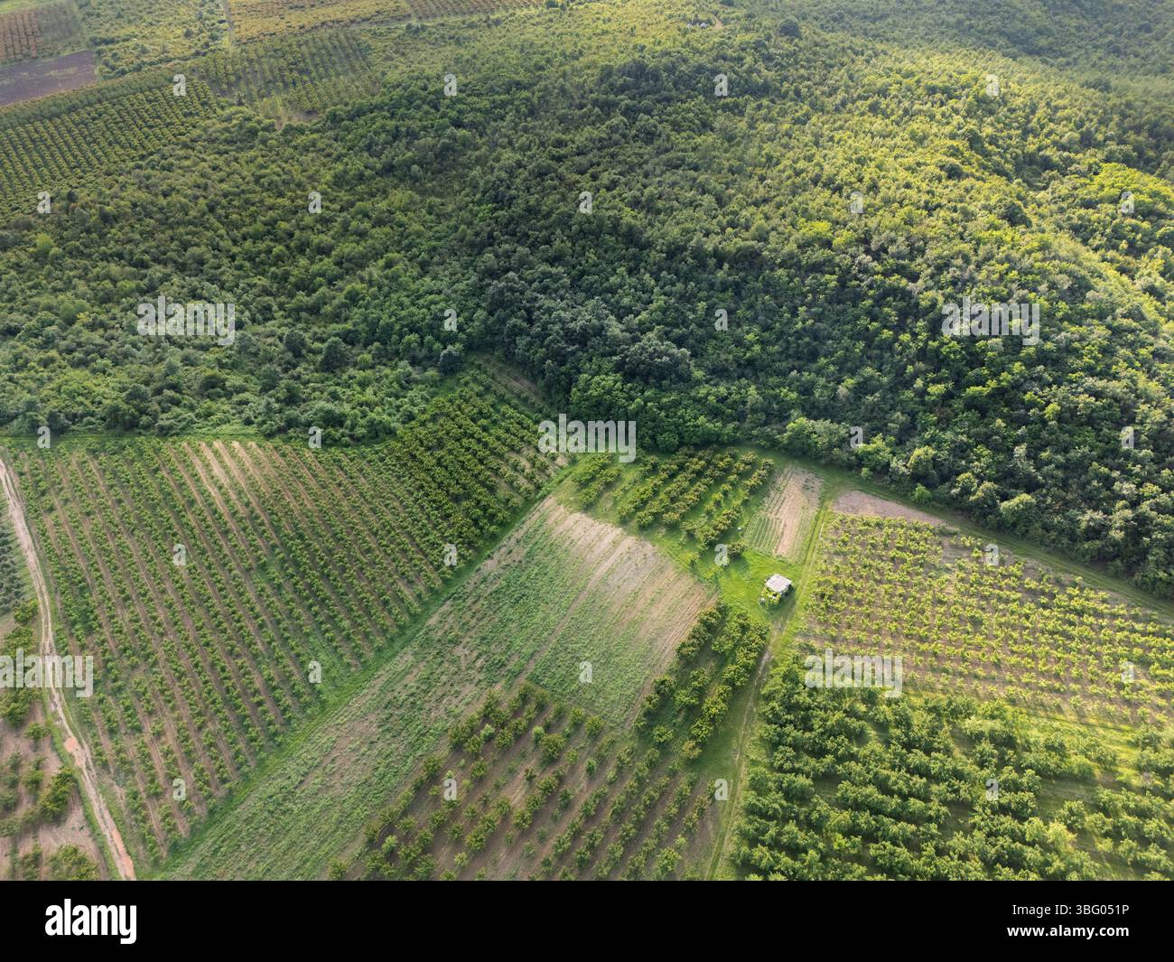 Agricultural field apple farm hi-res stock photography and images - Alamy