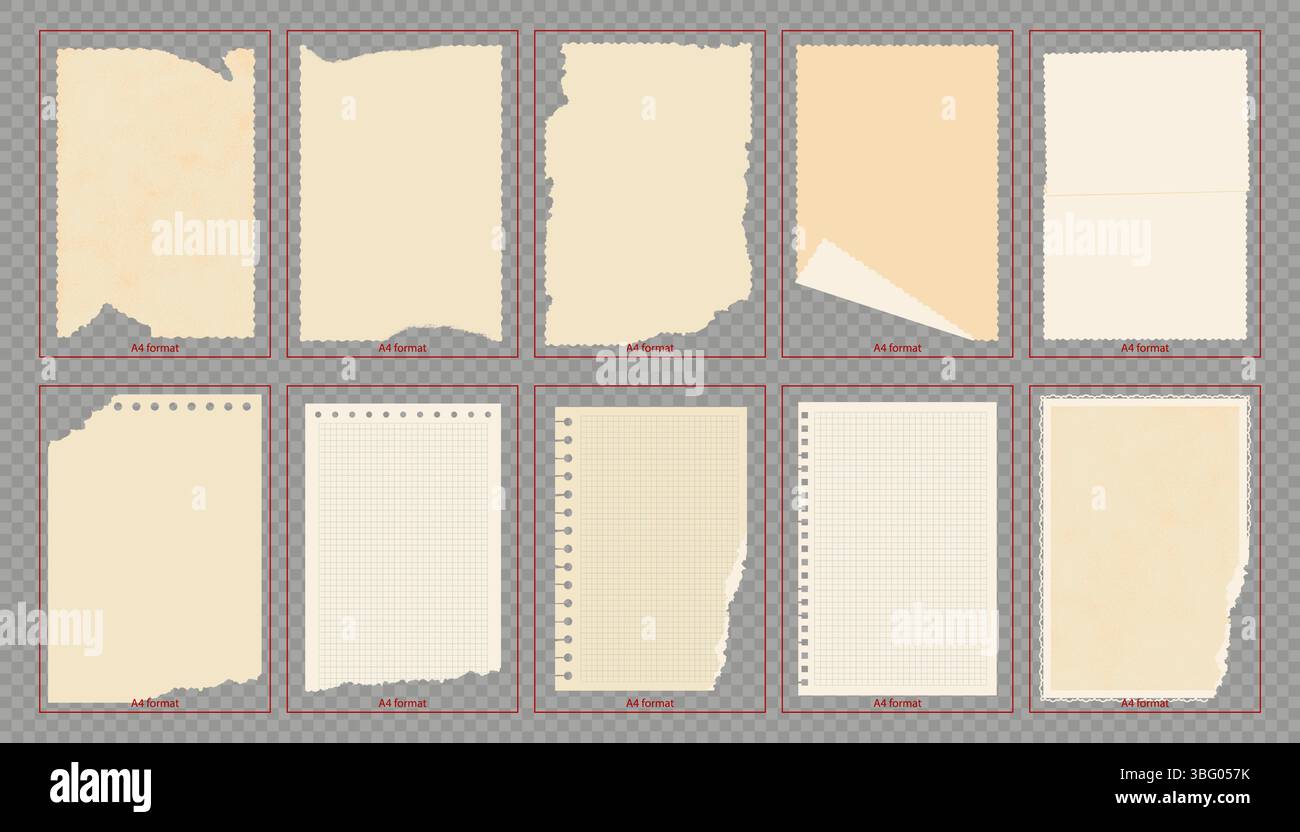 Vintage Textured Paper, A4 Format, note pages, torn paper. Vector ...
