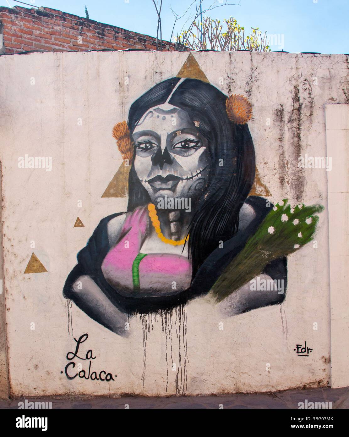 Dia de los Muertos Street Art on a wall in San Miguel de Allende, GTO ...