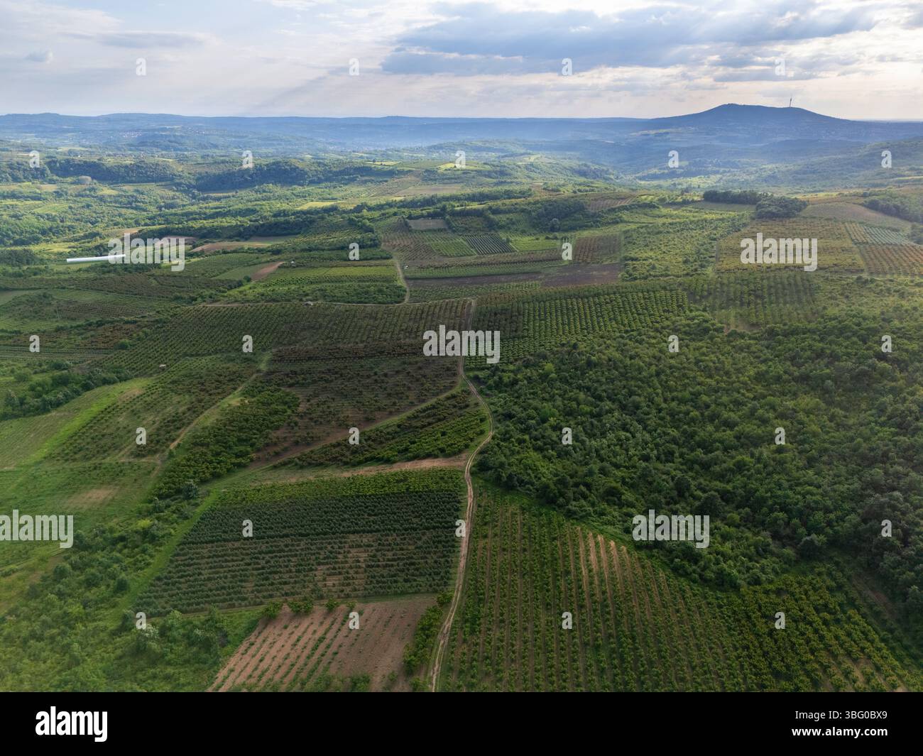 Aerial view of agricultural land. Valley of fruit farms Stock Photo - Alamy