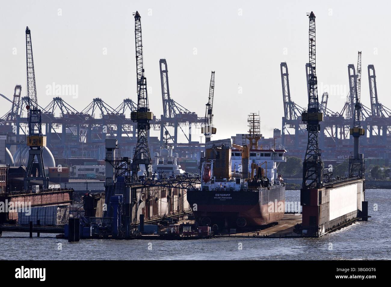 The ship Osterriff on the floating dock Dock 11 of Blohm und Voss, the ...