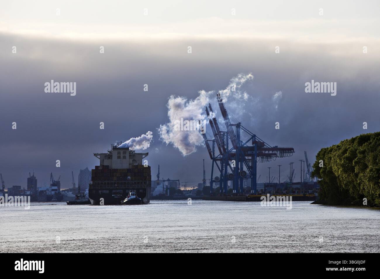 Container ship MSC Tokyo with two small tugs near the Burchardkai ...