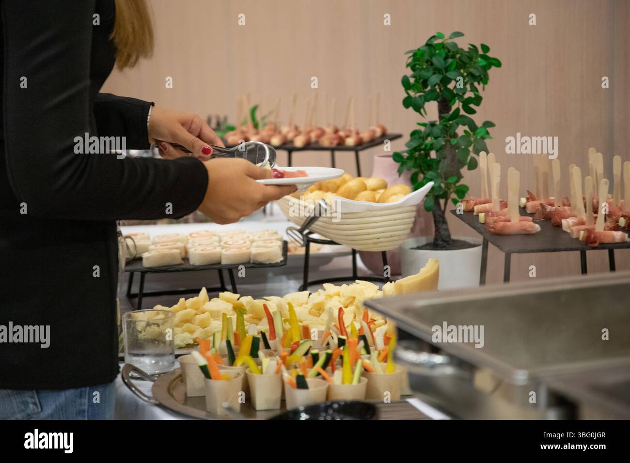 A vibrant glimpse into a professionally catered corporate event ...