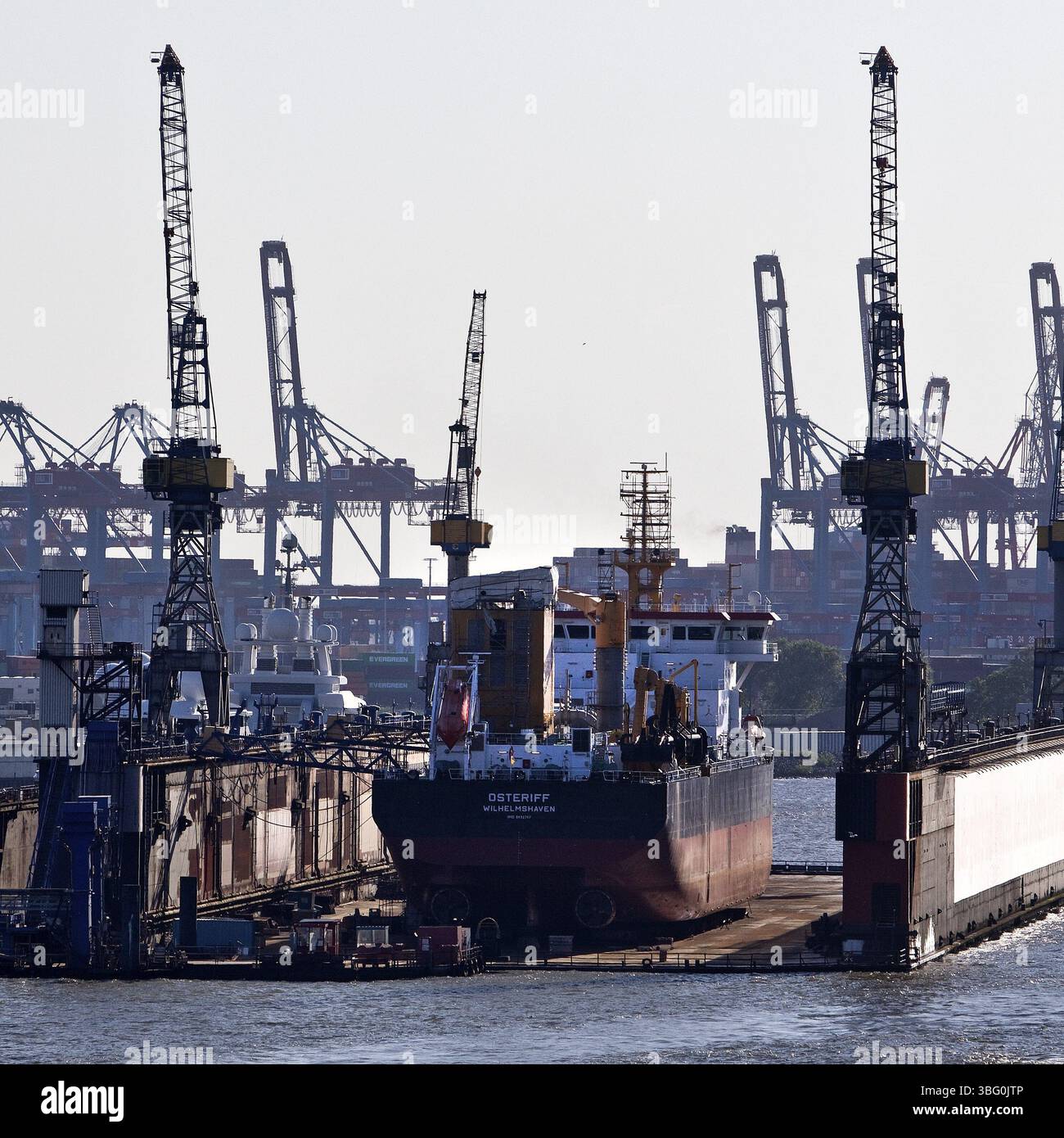 The ship Osterriff on the floating dock Dock 11 of Blohm und Voss, the ...