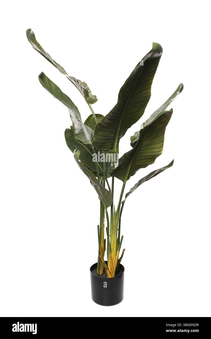 Sturdy building Cut Out Stock Images & Pictures - Alamy