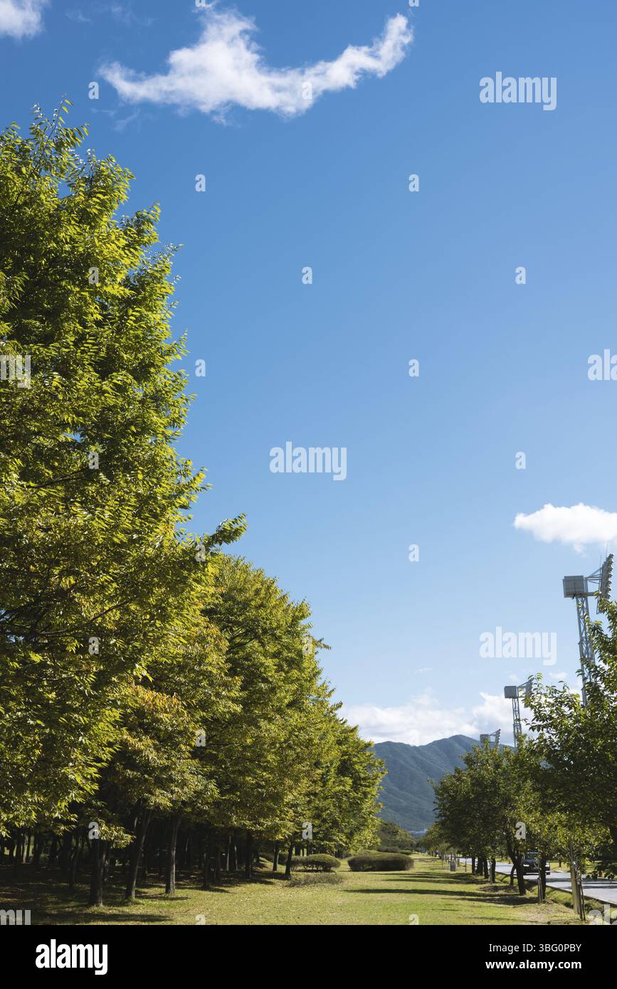 Misa Gyeongjeong Park green forest in Hanam, Korea Stock Photo - Alamy