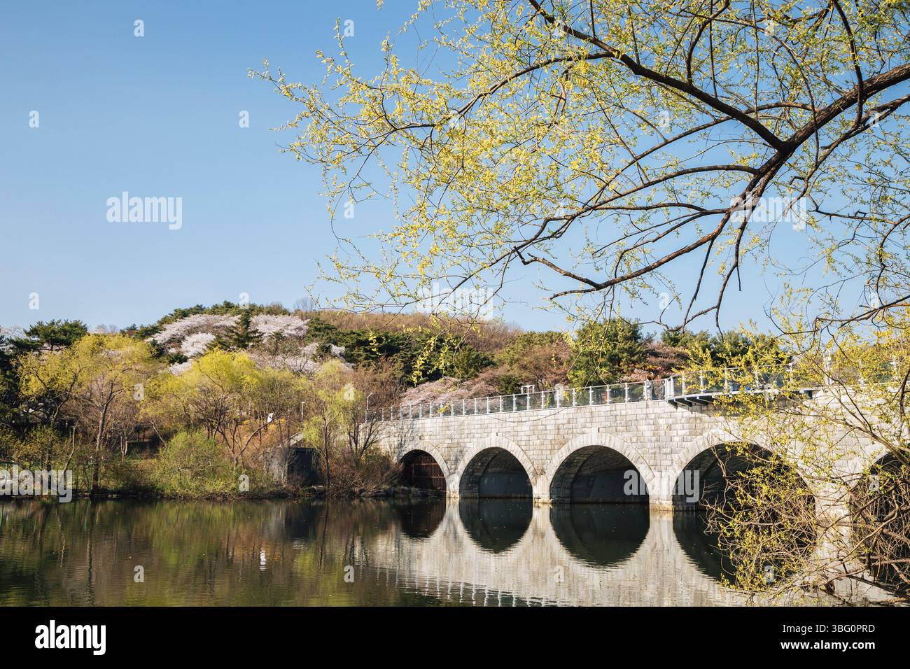Spring of Seoul grand park in Gwacheon, Korea Stock Photo - Alamy