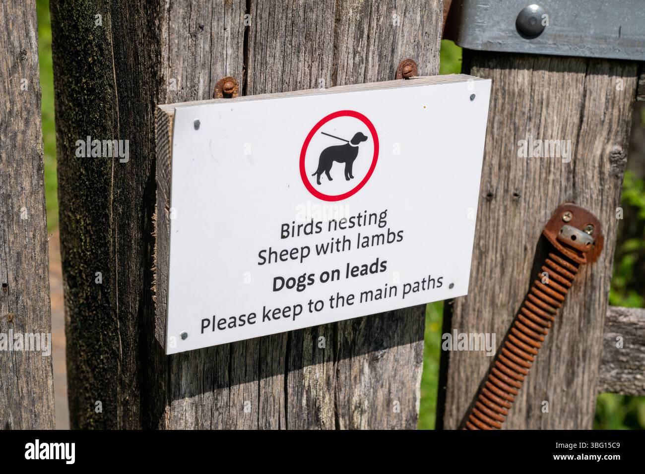 Bird nesting warning sign to advise vistors to a nature reserve to keep ...