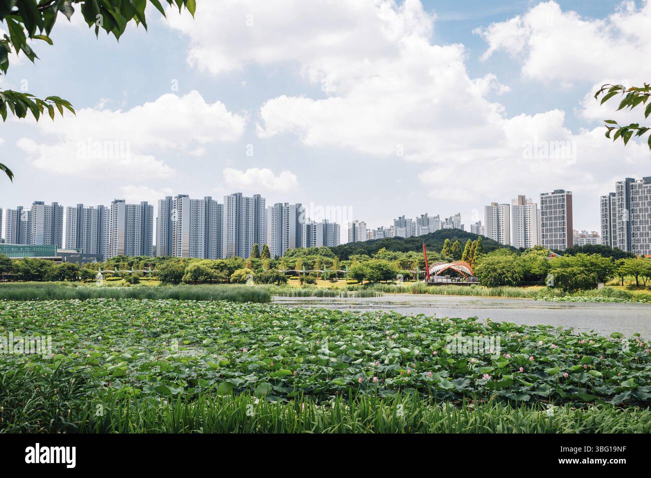 Hwarang Recreation Area park and modern apartment buildings at summer in Ansan, Korea Stock ...