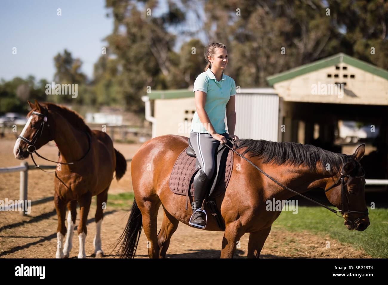 Adult female rider riding chestnut horse inside paddock wearing English ...