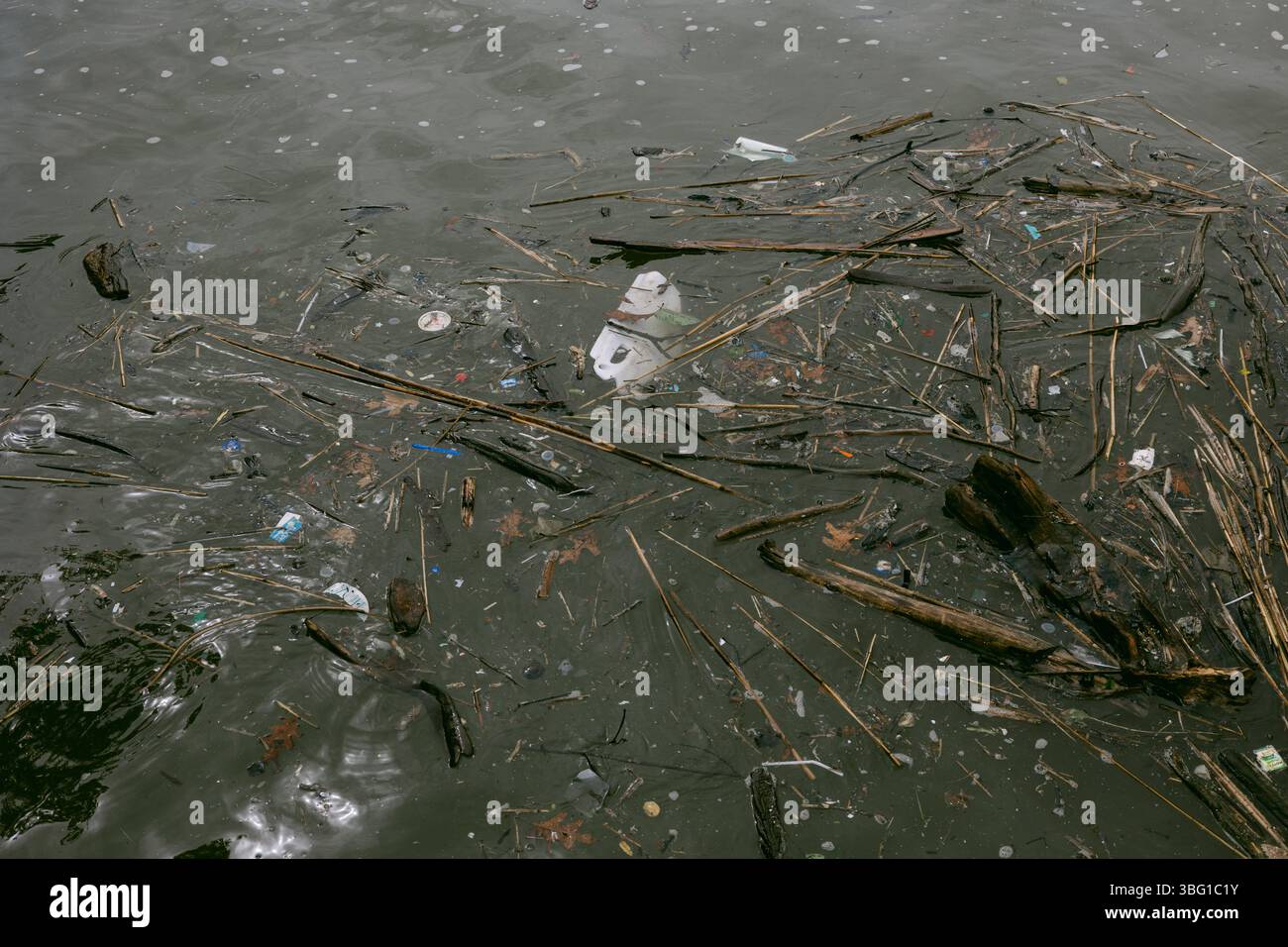 Plastic debris and natural waste float on the surface of a river in an ...